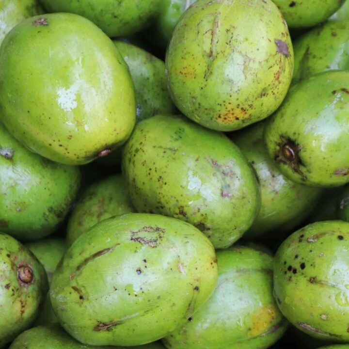 Fruits Start with U – Get Set Vegan