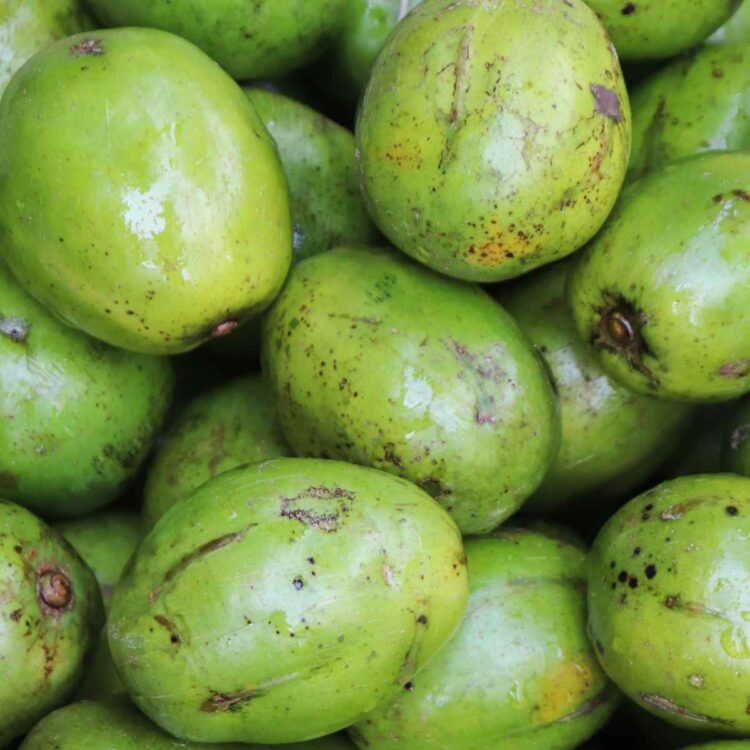 Fruits Start with U – Get Set Vegan