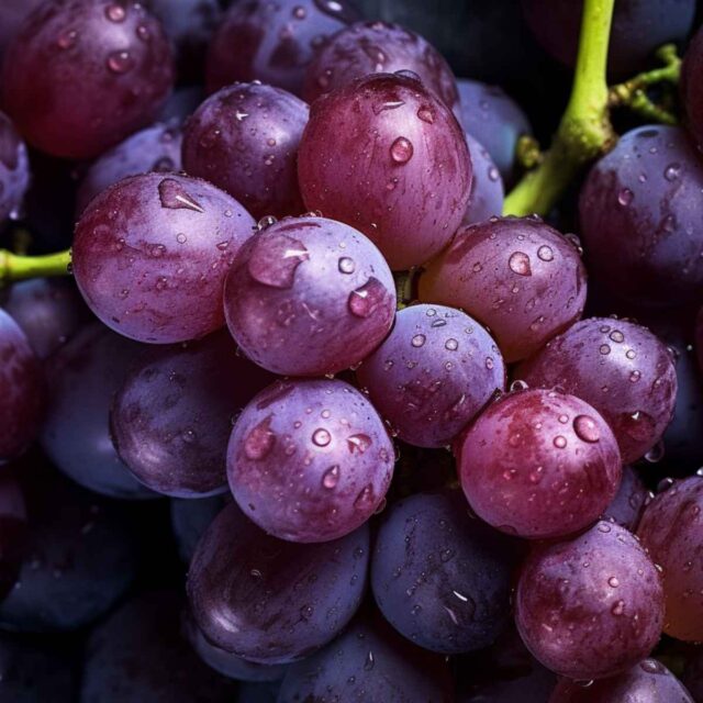 Fruits Start with U – Get Set Vegan