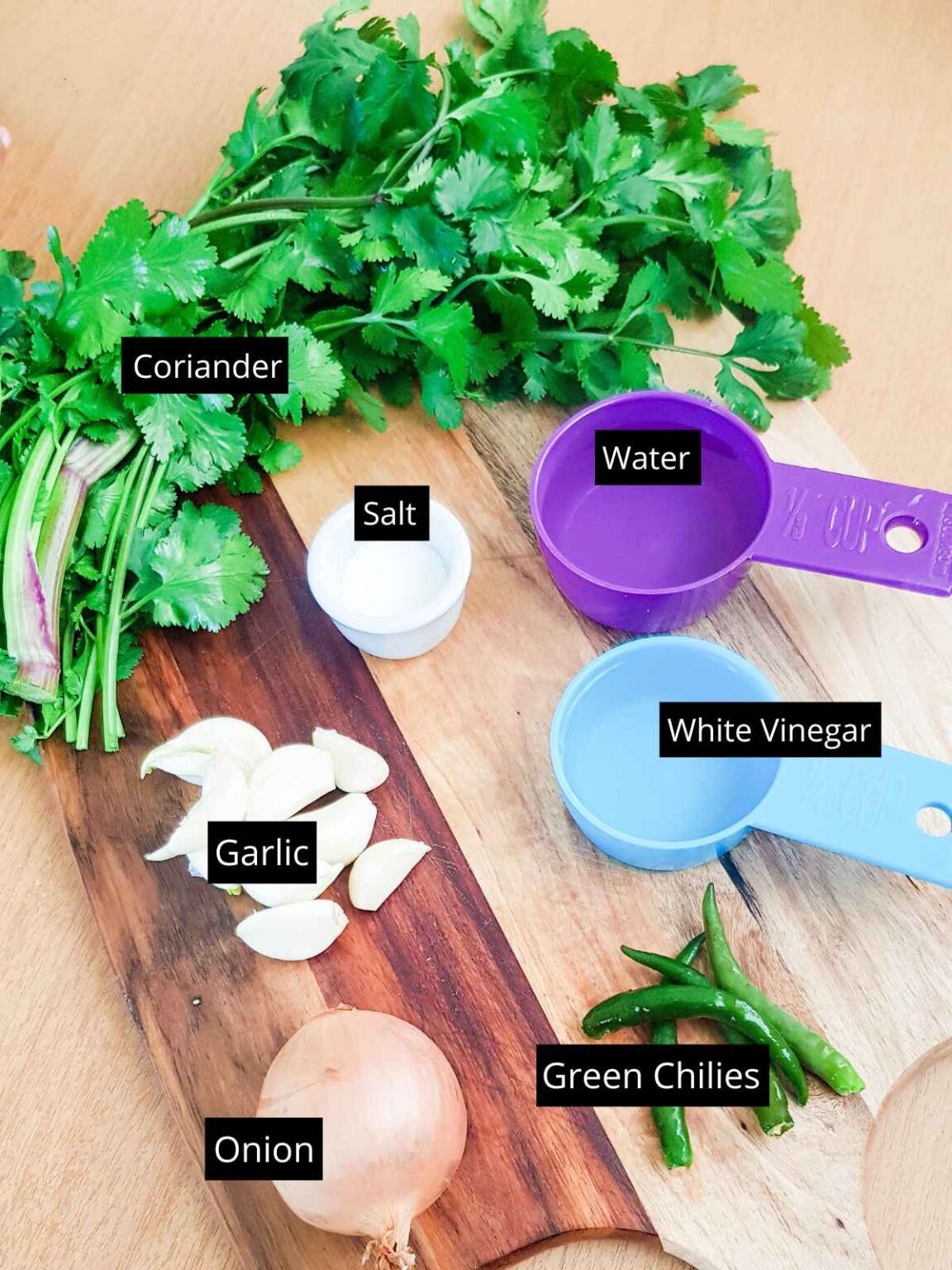 Coriander Chutney – Get Set Vegan