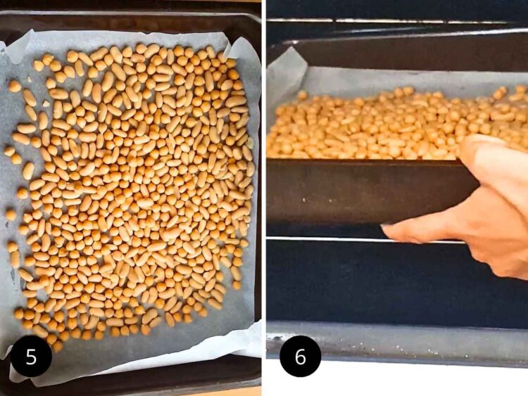 Roasted Beans Snack – Get Set Vegan