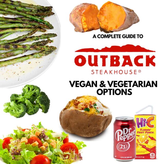Vegan Guide Archives – Get Set Vegan
