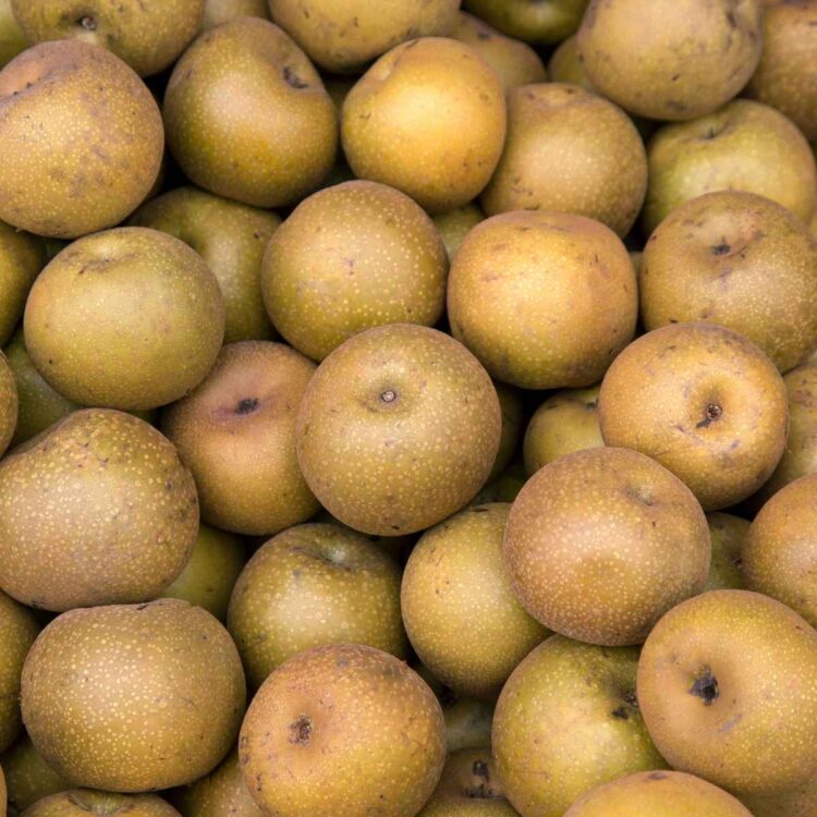 Discovering the Best Jicama Substitutes – Get Set Vegan