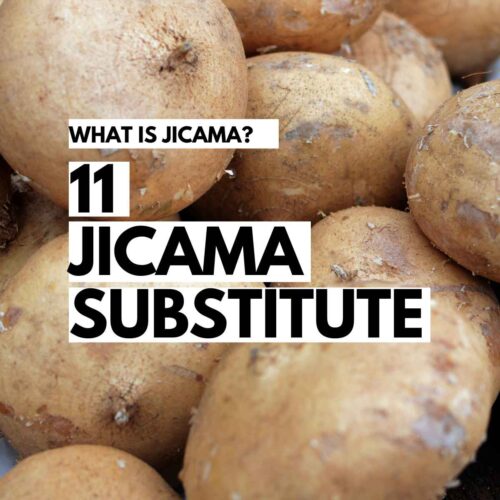 Discovering the Best Jicama Substitutes – Get Set Vegan