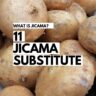 Discovering the Best Jicama Substitutes – Get Set Vegan